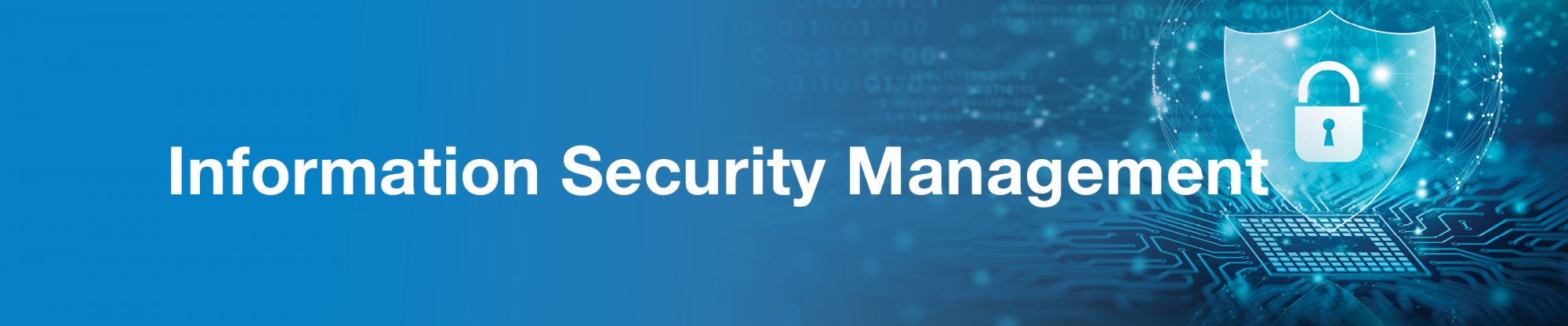 Information Security Management | Vishay